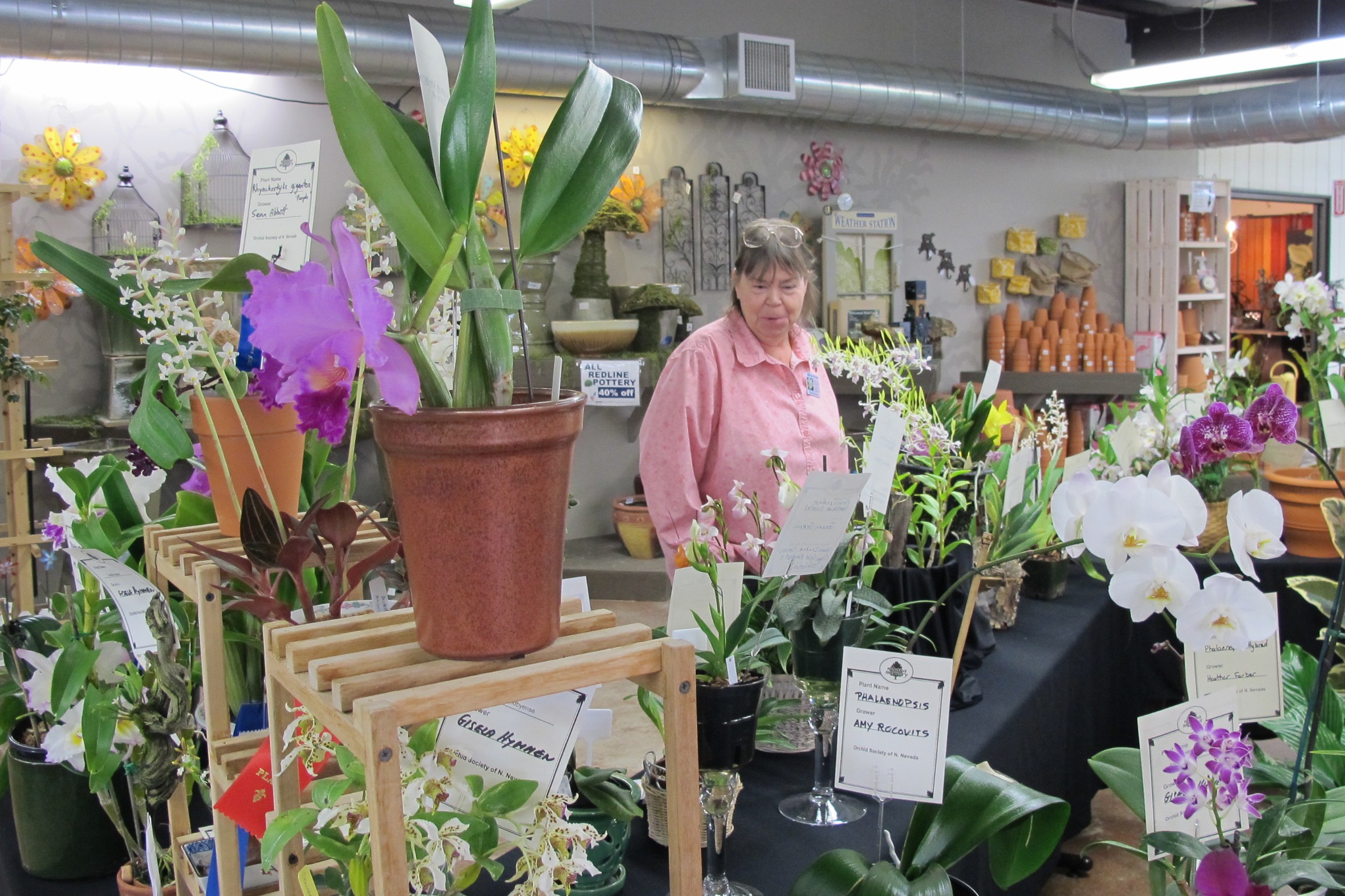 2013 Moana Garden Center Orchid Show | Orchid Society of Northern Nevada